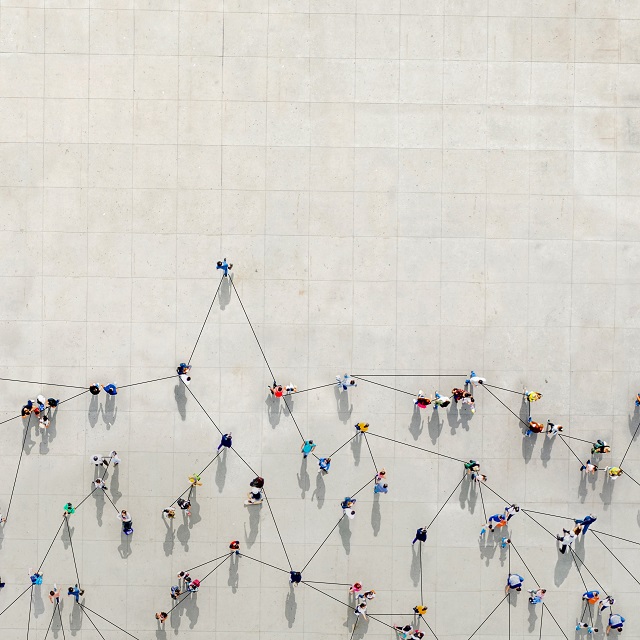 De nieuwe High Level Structure (HLS)